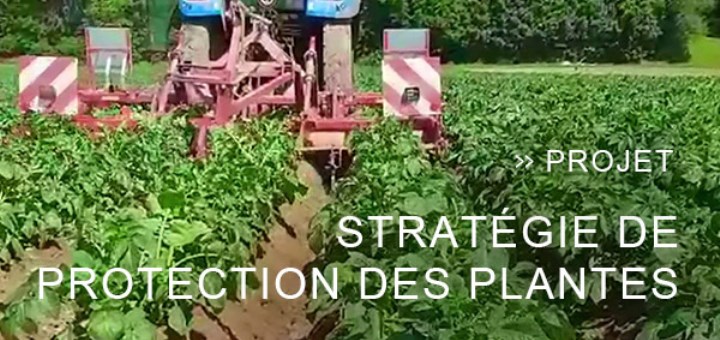 Nouvelles vidéos : Stratégie de protection des plantes – progresser ...